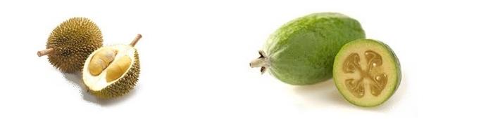 Fruit Exotique - Découvrez plus de 50 variétés de fruits exotiques